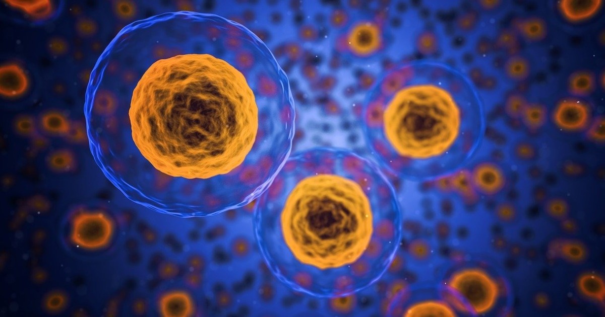 Définition de cellule - Definitions360