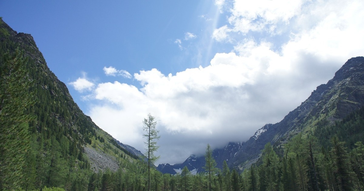 Définition de la taïga - Definitions360